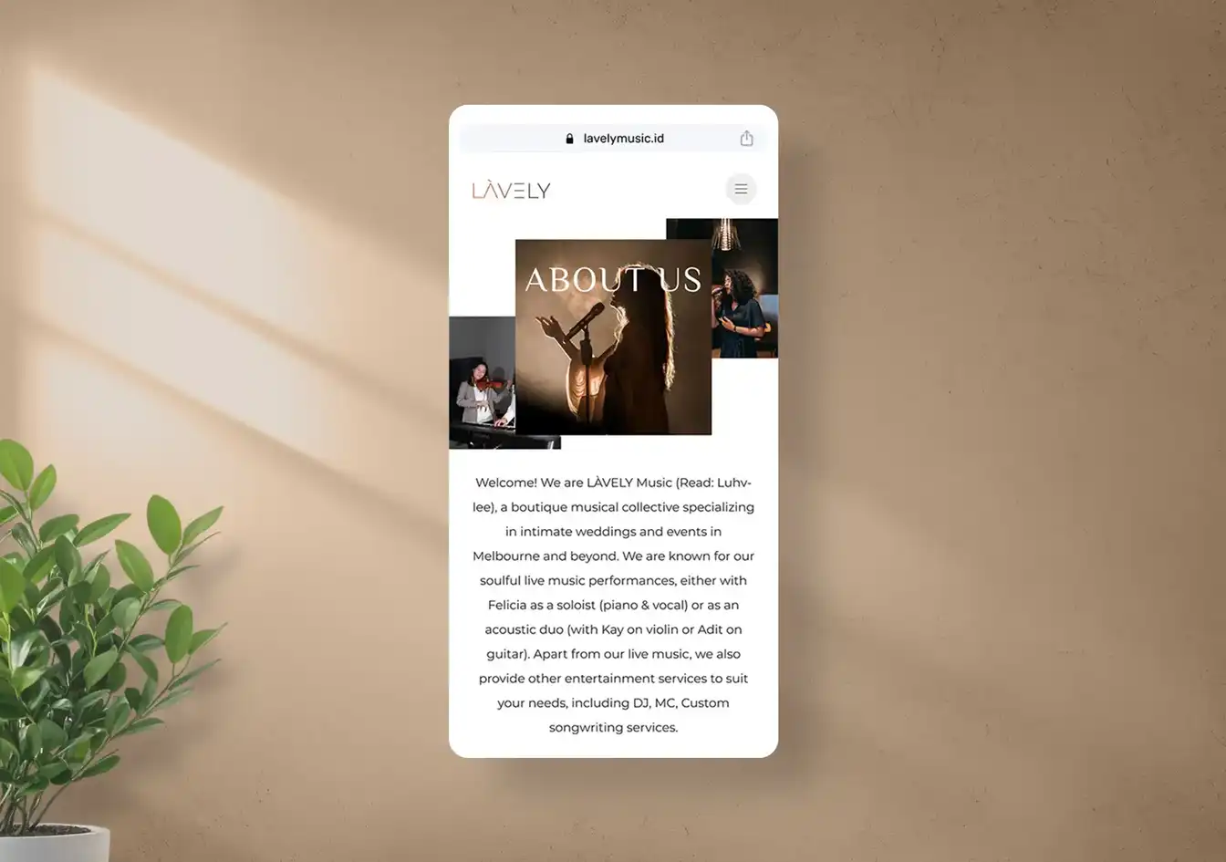 Disco Frog | One Stop Design & Development